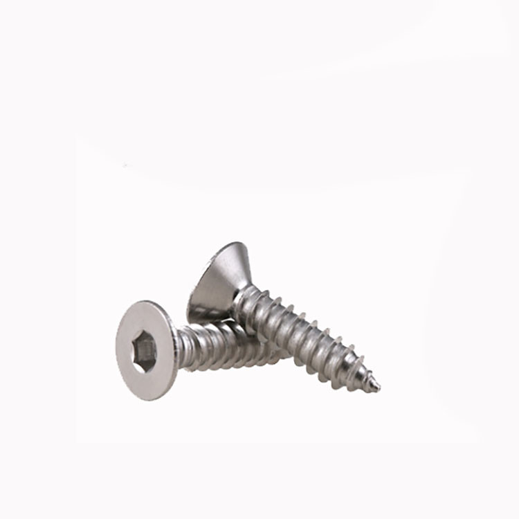 DIN EN ISO 14586 SUS304 Plum Blossom Screw Countersunk Head Tapping Screw