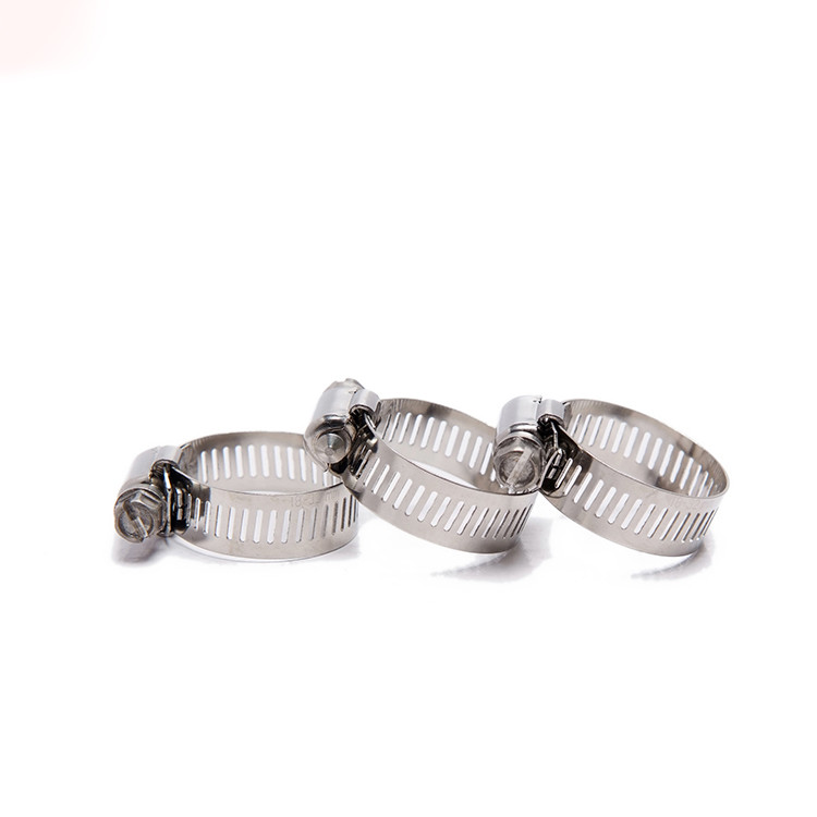 DIN3017 sus 304/316 M33.1 large diameter wing nut spring type safety ...